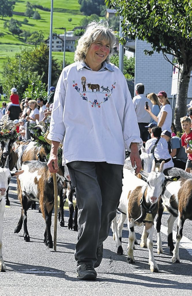 Talwärts geht’s: Die Alpabfahrten - Marchanzeiger