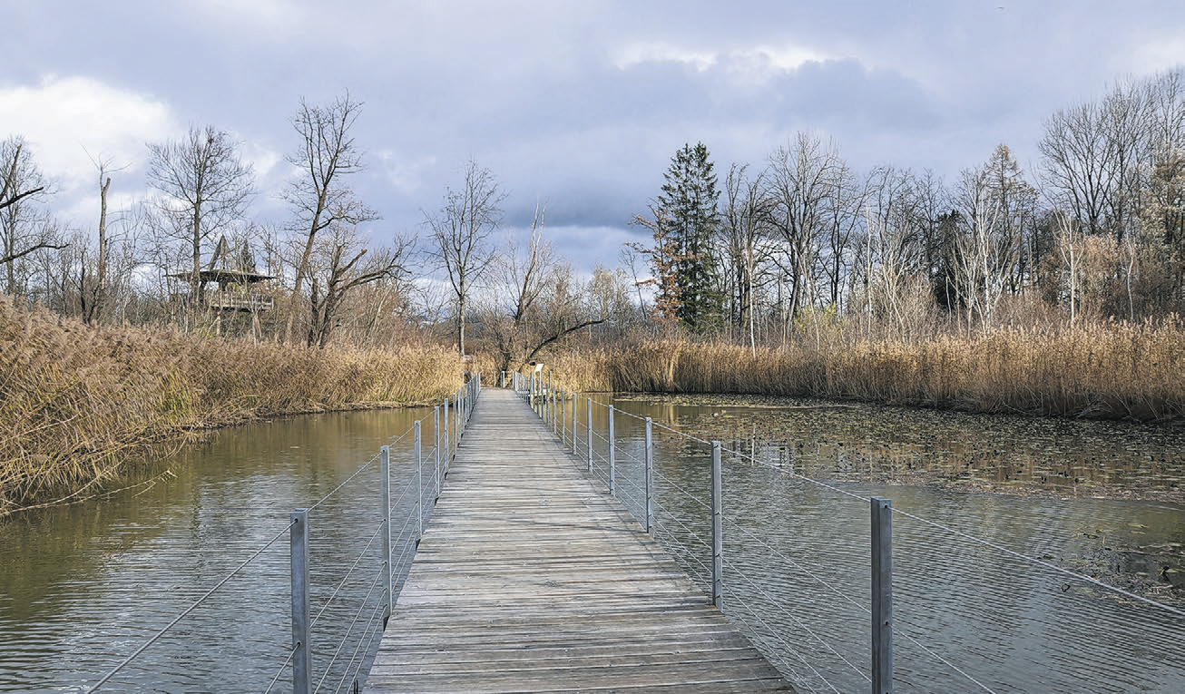Genossame Lachen wertet Naturschutzgebiet auf - Marchanzeiger